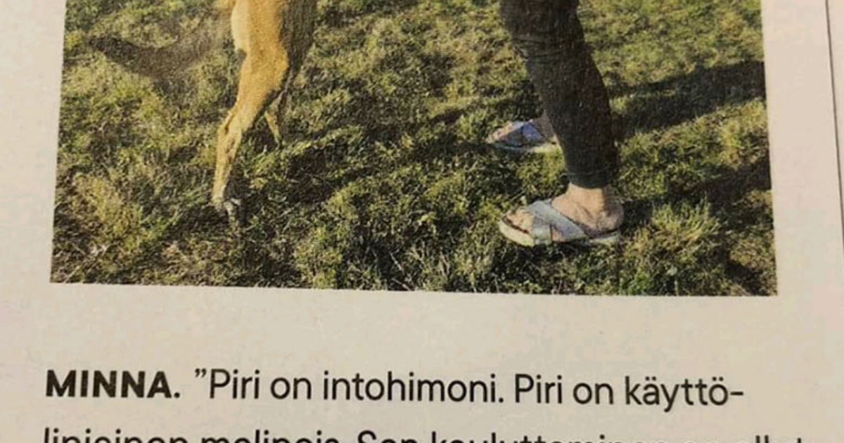 Feissarimokat - Kuvakooste, osa 396