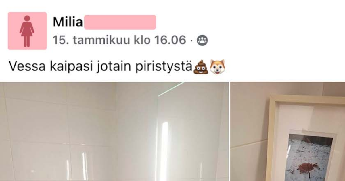 Feissarimokat - Kuvakooste, osa 477
