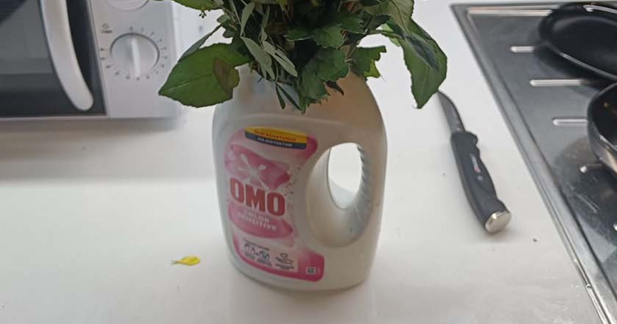 Feissarimokat - Kuvakooste, osa 494