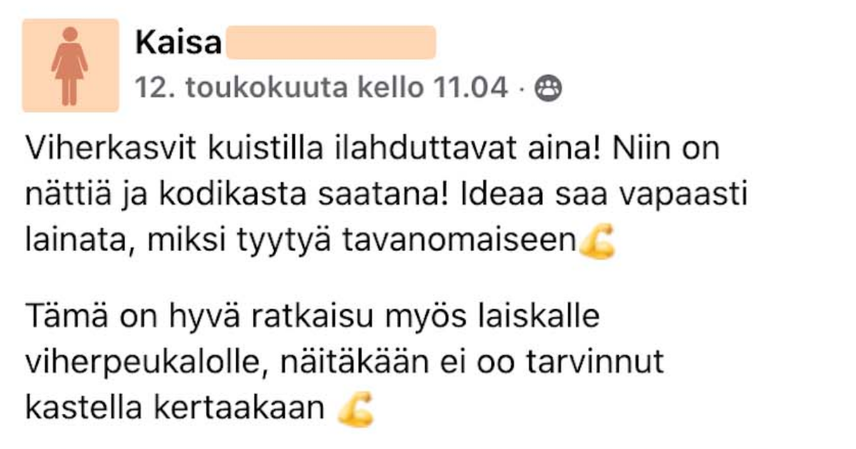 Feissarimokat - Kuvakooste, osa 498