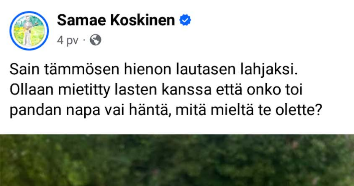 Feissarimokat - Kuvakooste, osa 499