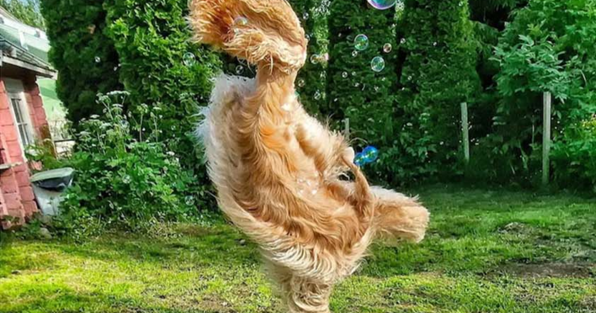 Feissarimokat - Kuvakooste, osa 501